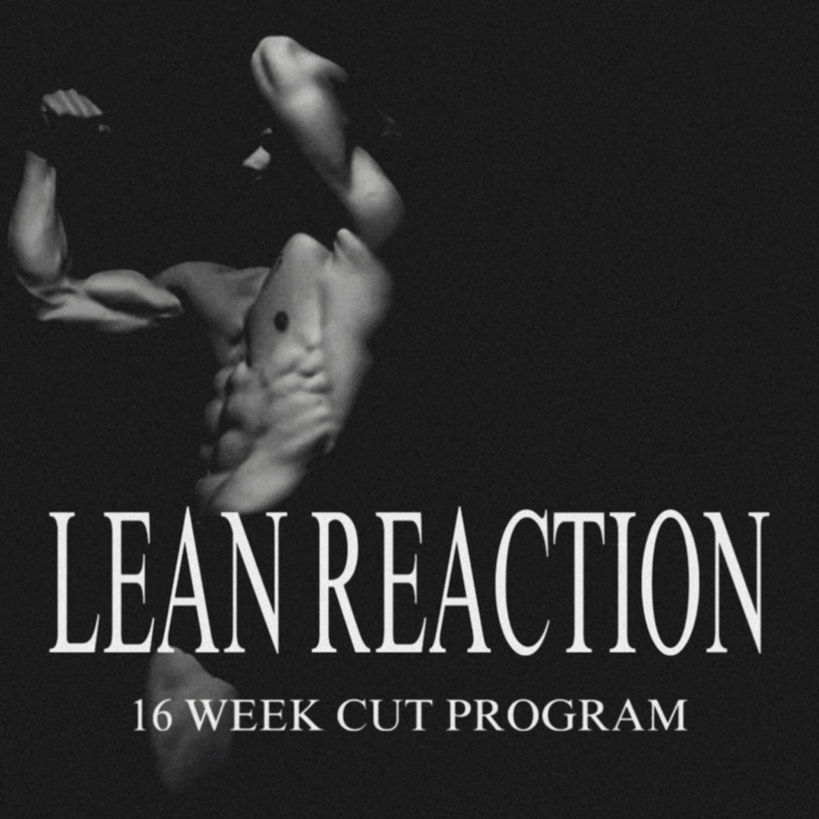 LEAN REACTION – ALPHA REACTION
